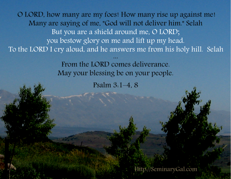 Psalm 3 Seminary Gal