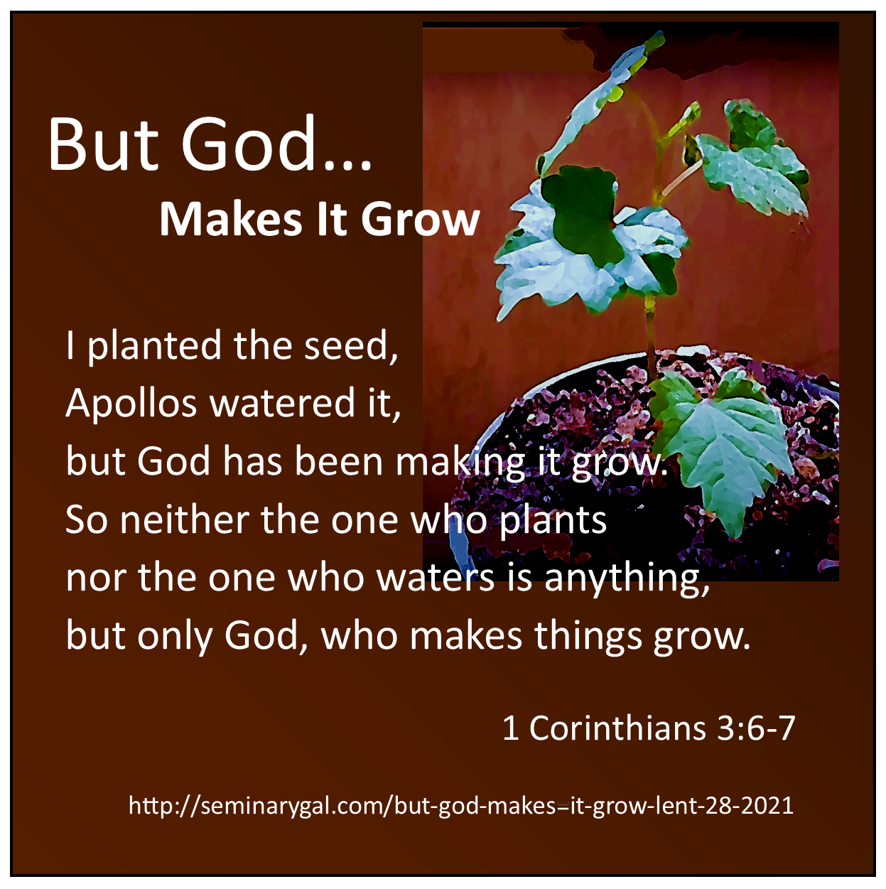 But God Makes it Grow- Lent 28, 2021 | Seminary Gal But God Makes it ... But God Makes it Grow- Lent 28, 2021 | Seminary Gal But God Makes it ...