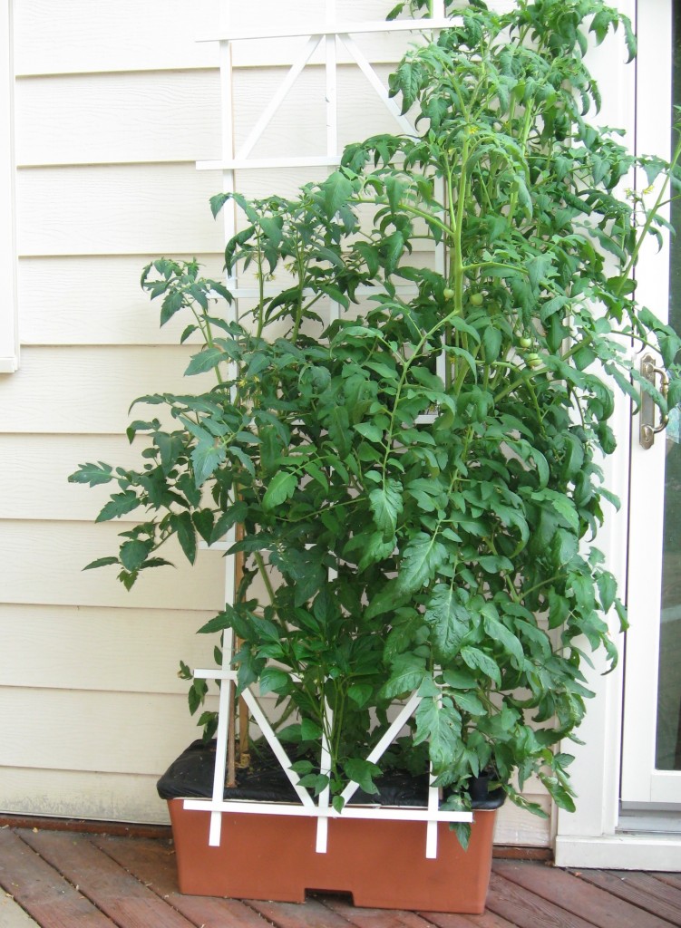Do Those Actually Work? Earth Boxes and Hose Reels – Seminary Gal