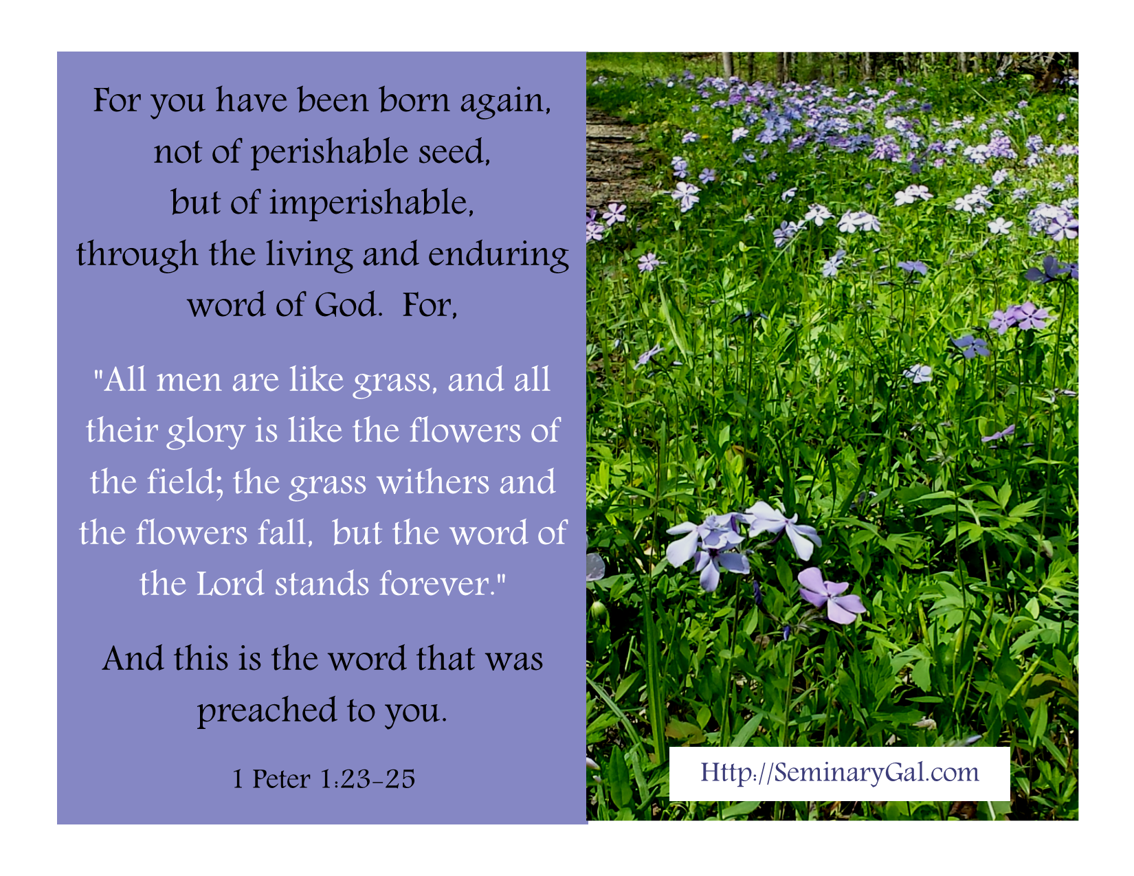 The Living and Enduring Word – Seminary Gal