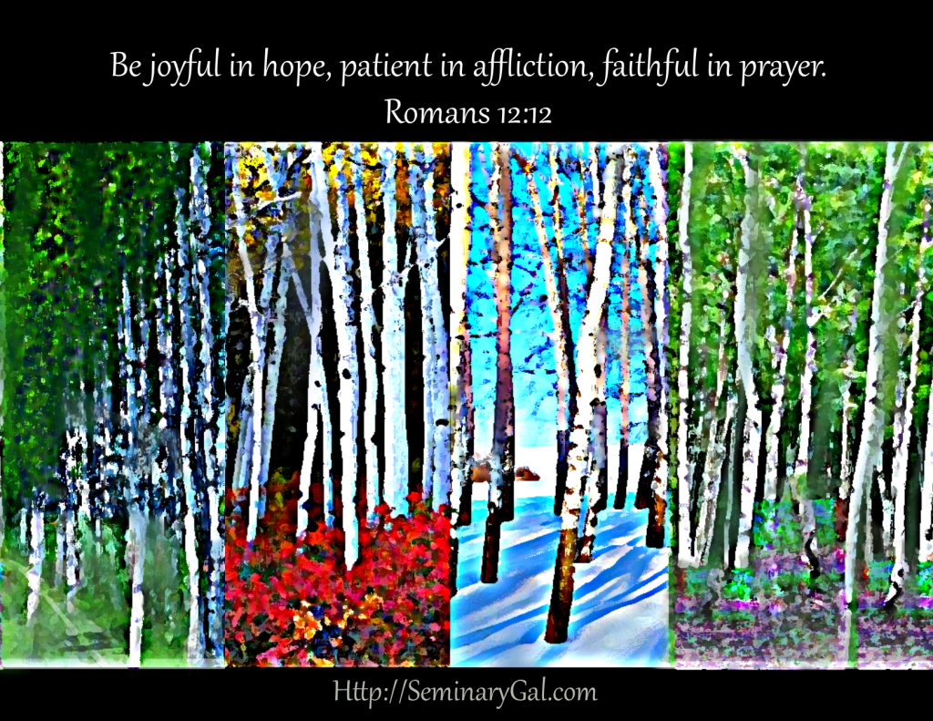 Rekindle My Patience (Lent 34, 2016) – Seminary Gal