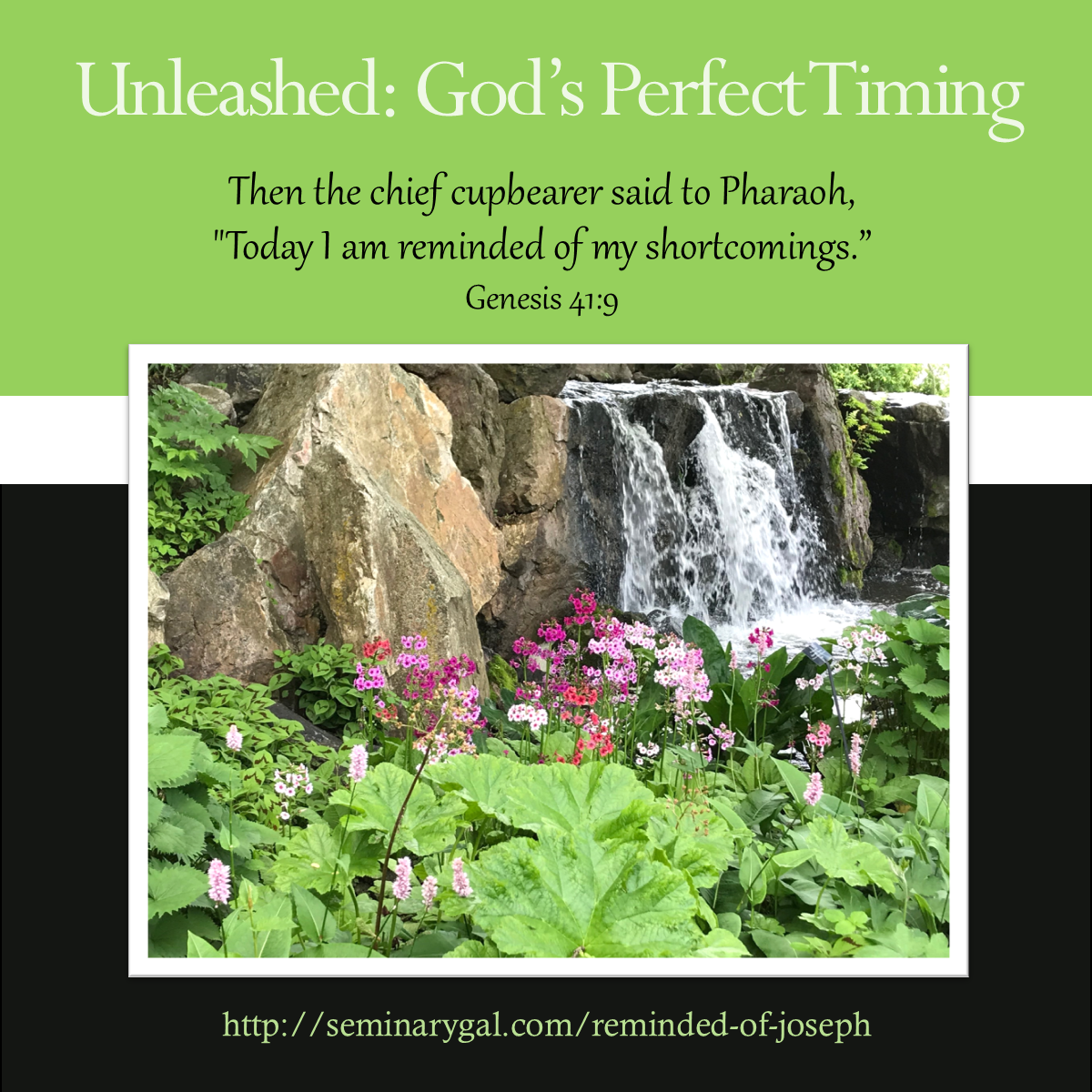 Reminded of Joseph – Seminary Gal