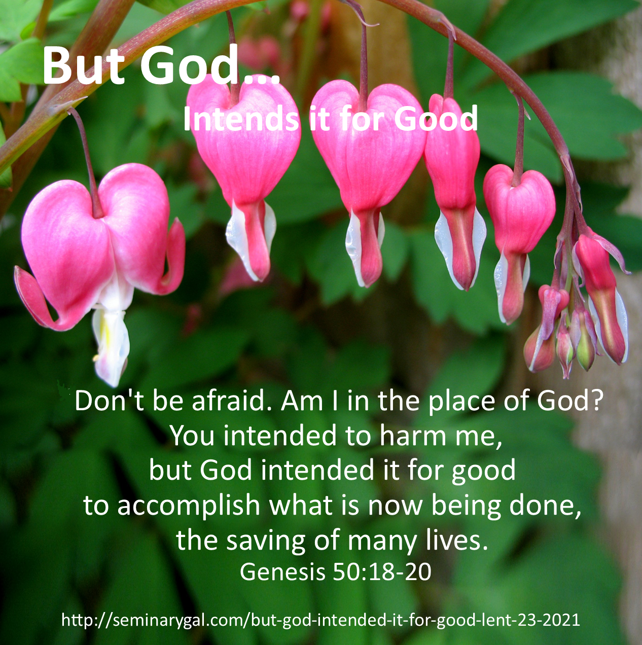 But God Intended It For Good-Lent 23, 2021 – Seminary Gal