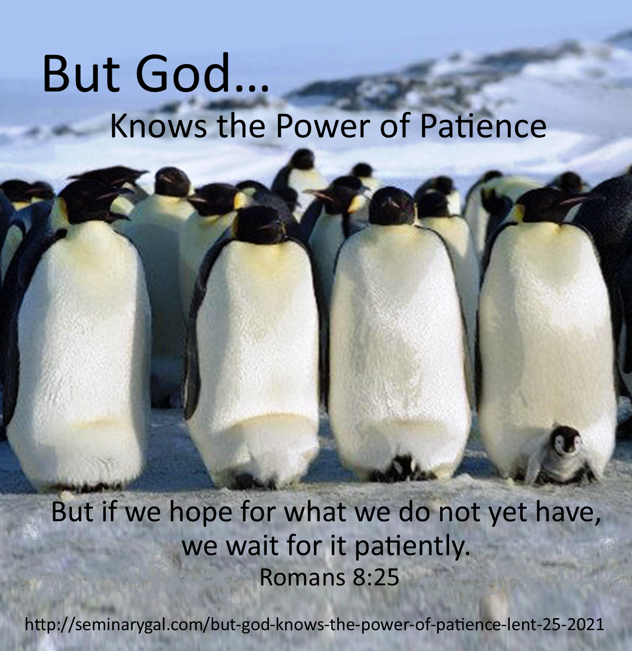 But God Knows the Power of Patience- Lent 25,2021 – Seminary Gal