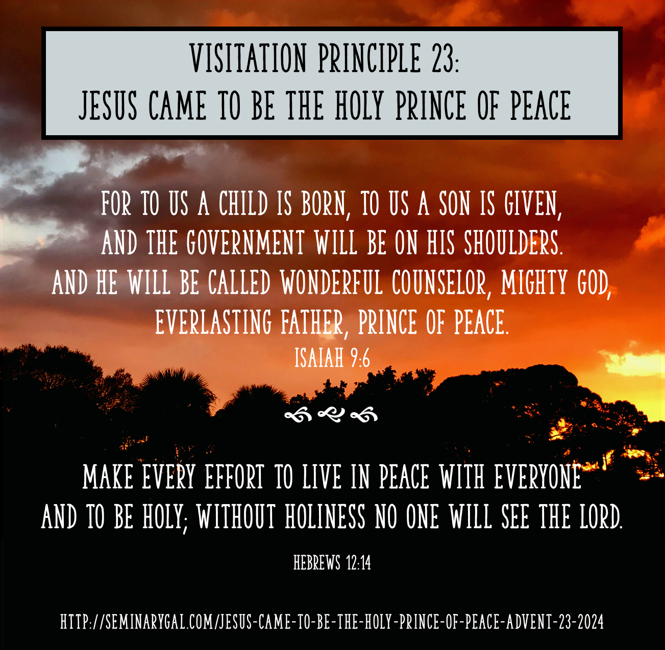 Jesus Came to Be the Holy Prince of Peace (Advent 23, 2024) – Seminary Gal