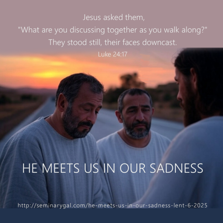 He Meets Us in Our Sadness (Lent 6, 2025) – Seminary Gal
